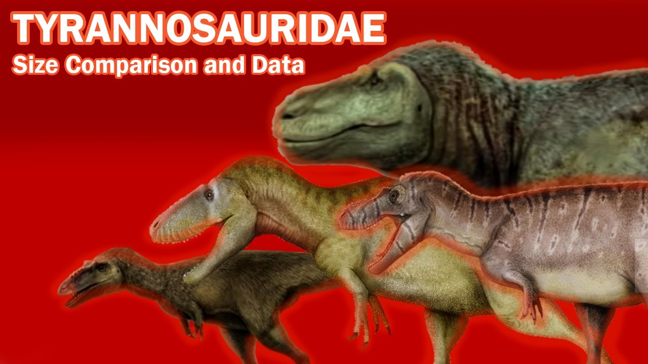 TYRANNOSAURIDAE : Dinosaur Size Comparison and Data - YouTube