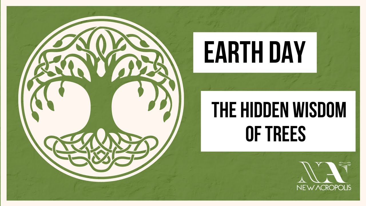 The Hidden Wisdom of Trees (Earth Day) - YouTube