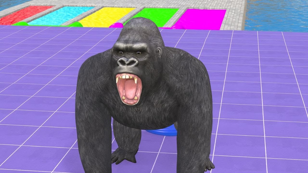 You Won’t Believe Who Wins the Crazy Animal Slide Race - YouTube
