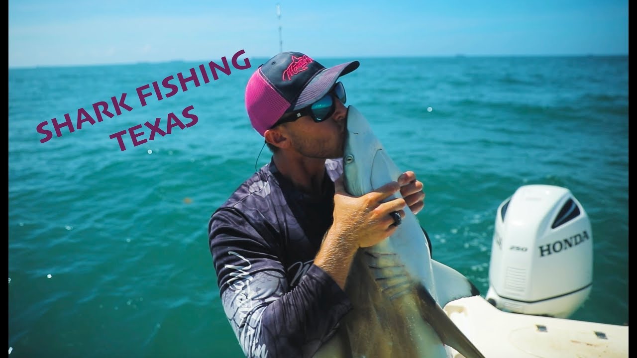 Episode #8 "SHARK WEEK" - YouTube