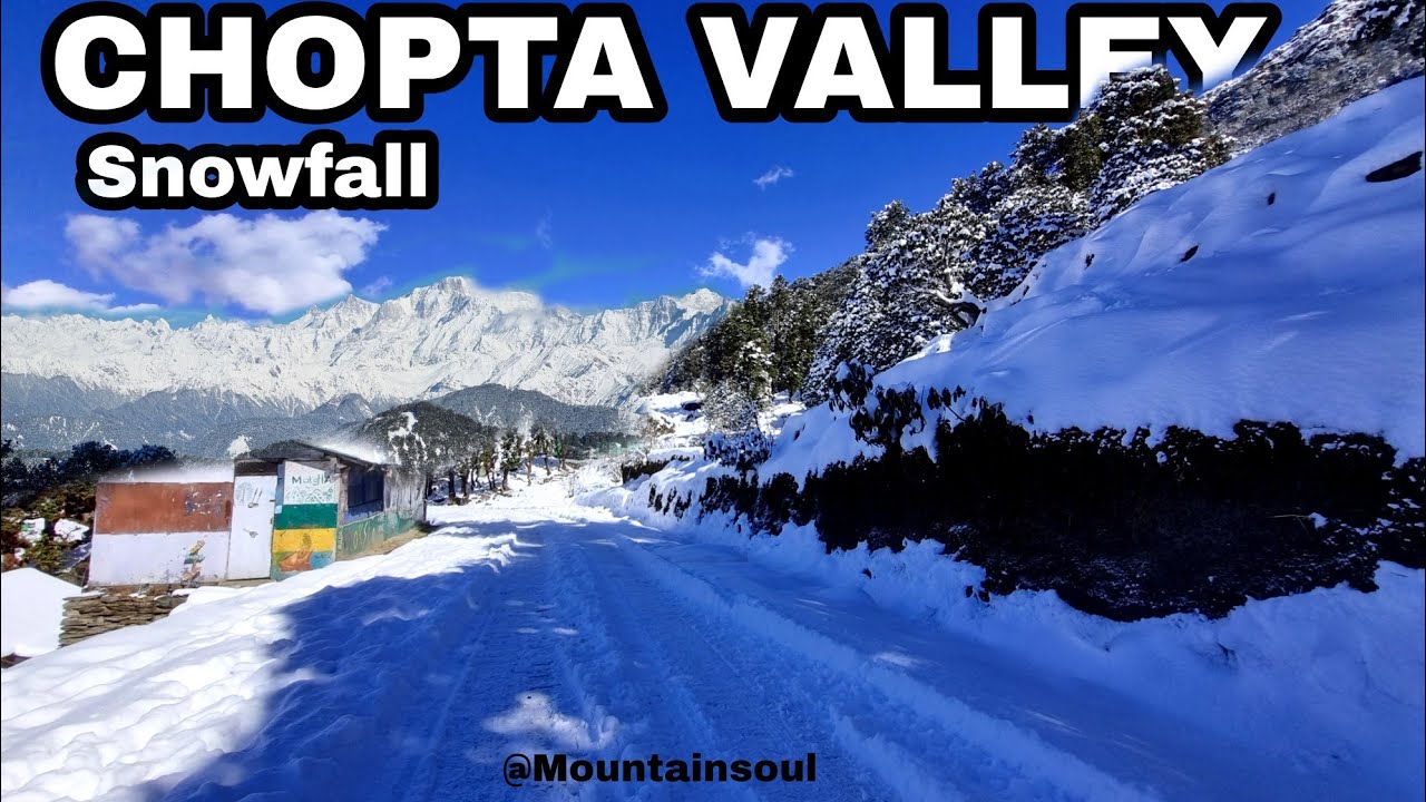 Chopta||Valley || Chopta || Tungnath || live snowfall || 2023 - YouTube