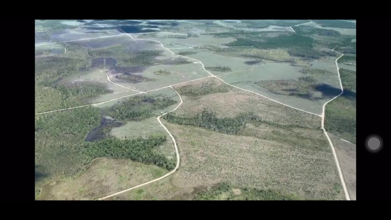 Coastal Georgia senator wants closer look at mine project near ...