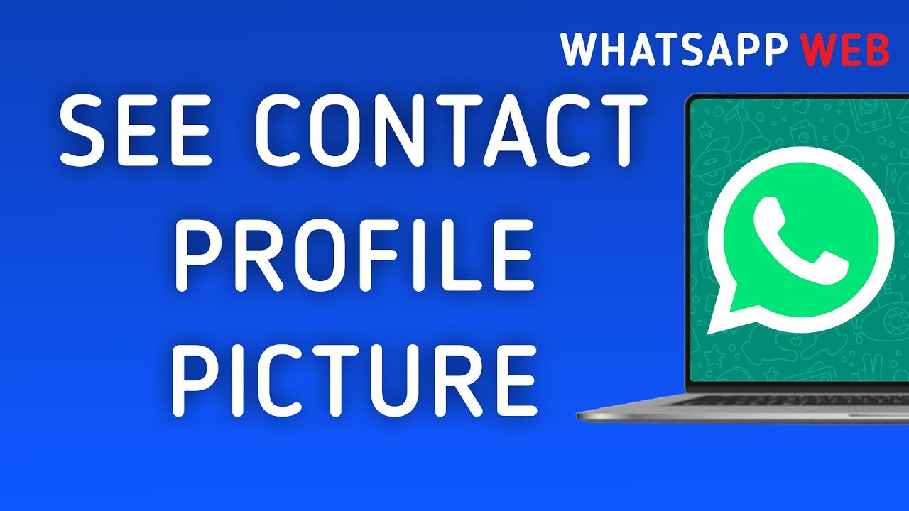 How To See Contact Profile Picture On WhatsApp Web On PC (New Update ...