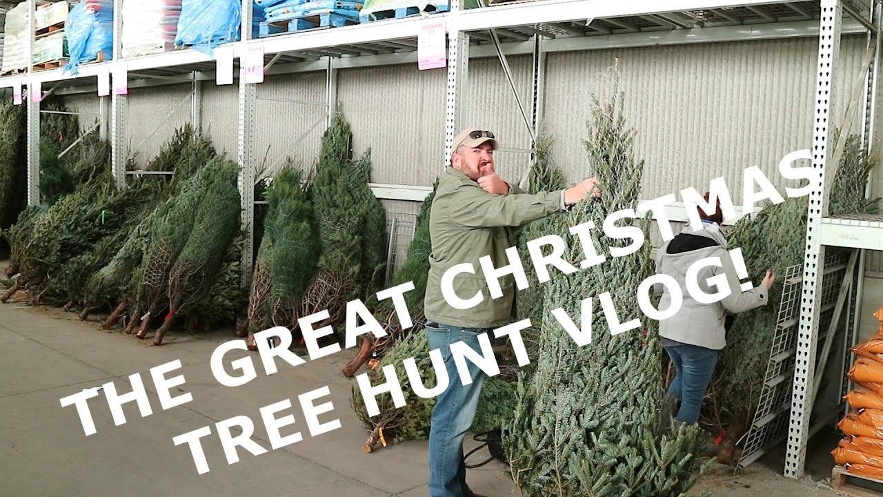 The Great Christmas Tree Hunt VLOG 2016 - YouTube