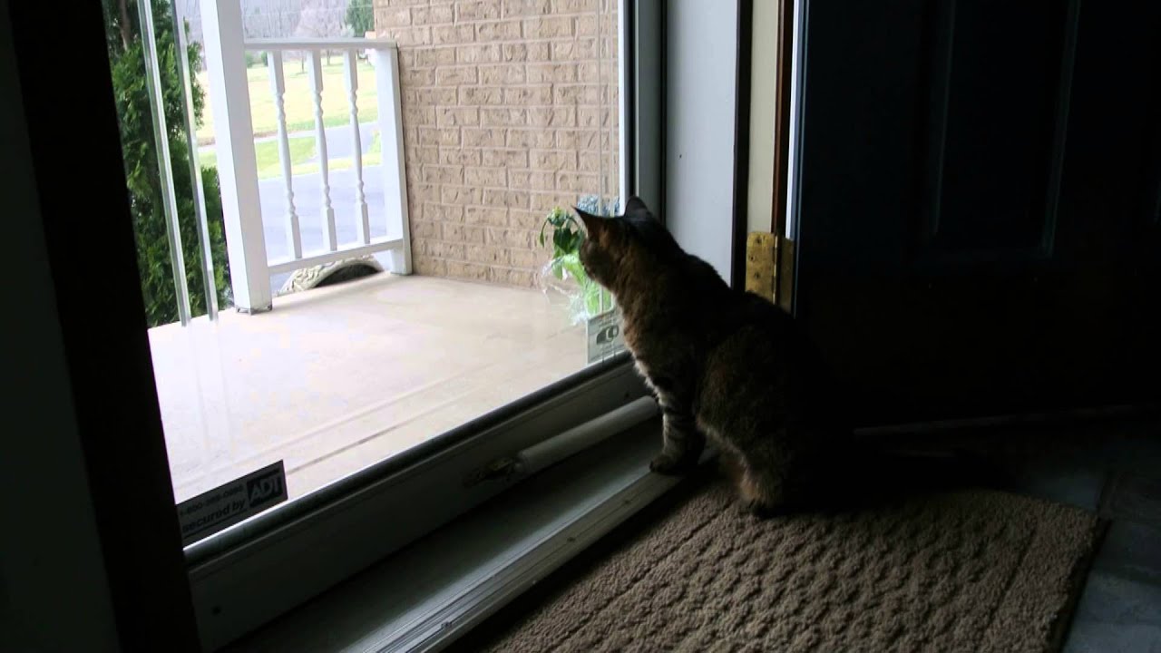 Chunk crying for Chrissy - YouTube