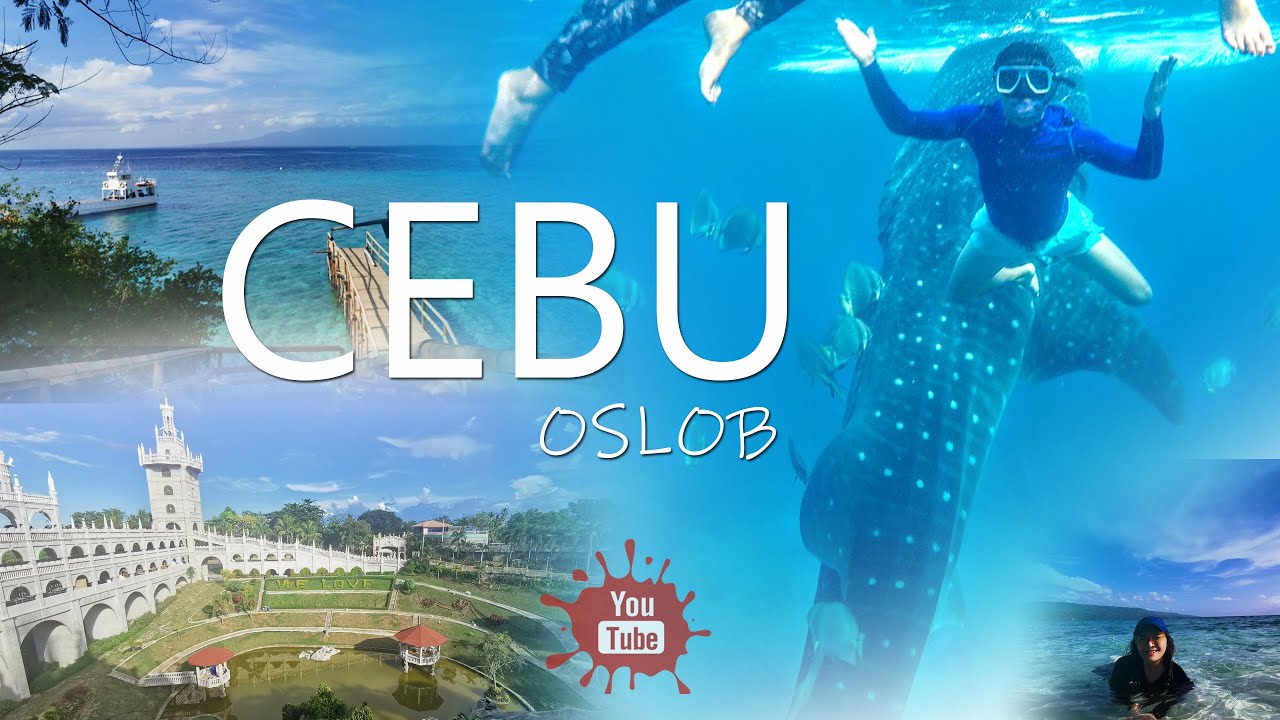#00 Cebu Oslob Best | Whale Shark | Sumilon Island | Simala Church ...