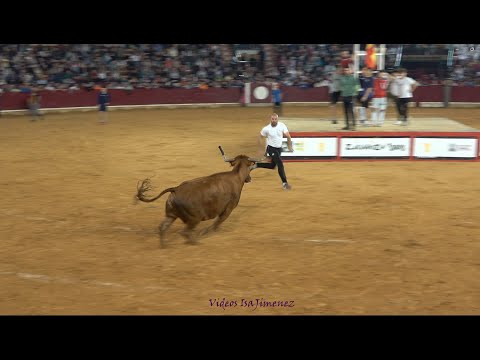 Zaragoza – Mañana vaquillera 09/10/2024 – Nº233/Matabichos – \