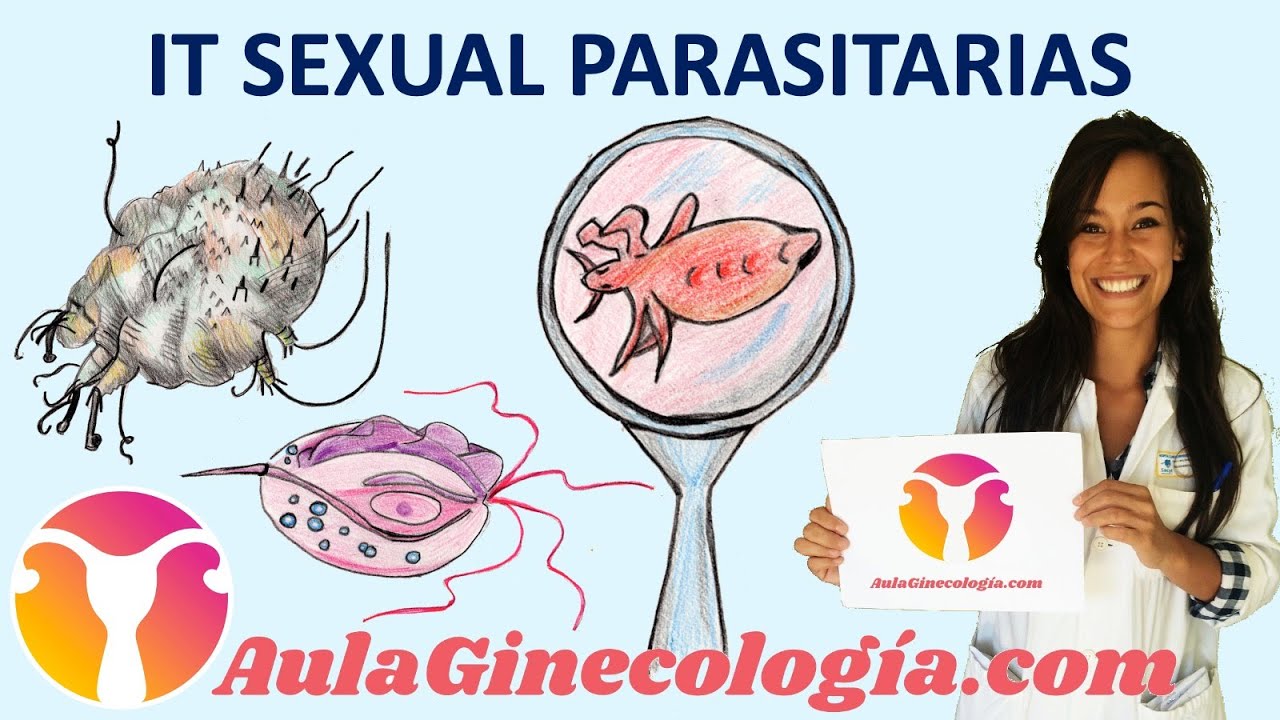 INFECCIONES DE TRANSMISIÓN SEXUAL, PARÁSITOS: SARNA, LADILLA ...