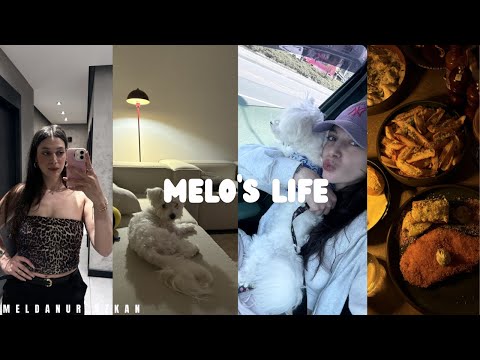 VLOG|hakkımda bilmediğiniz şeyler var, 10/10 ama… Melda mutlu olunca? Çantamda ne var?