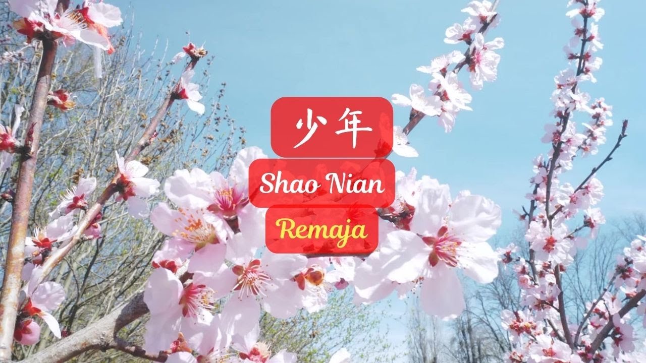 Shao Nian《少年》【Lagu Mandarin】- Michael Wong Guang Liang [SubIndo/Pinyin ...