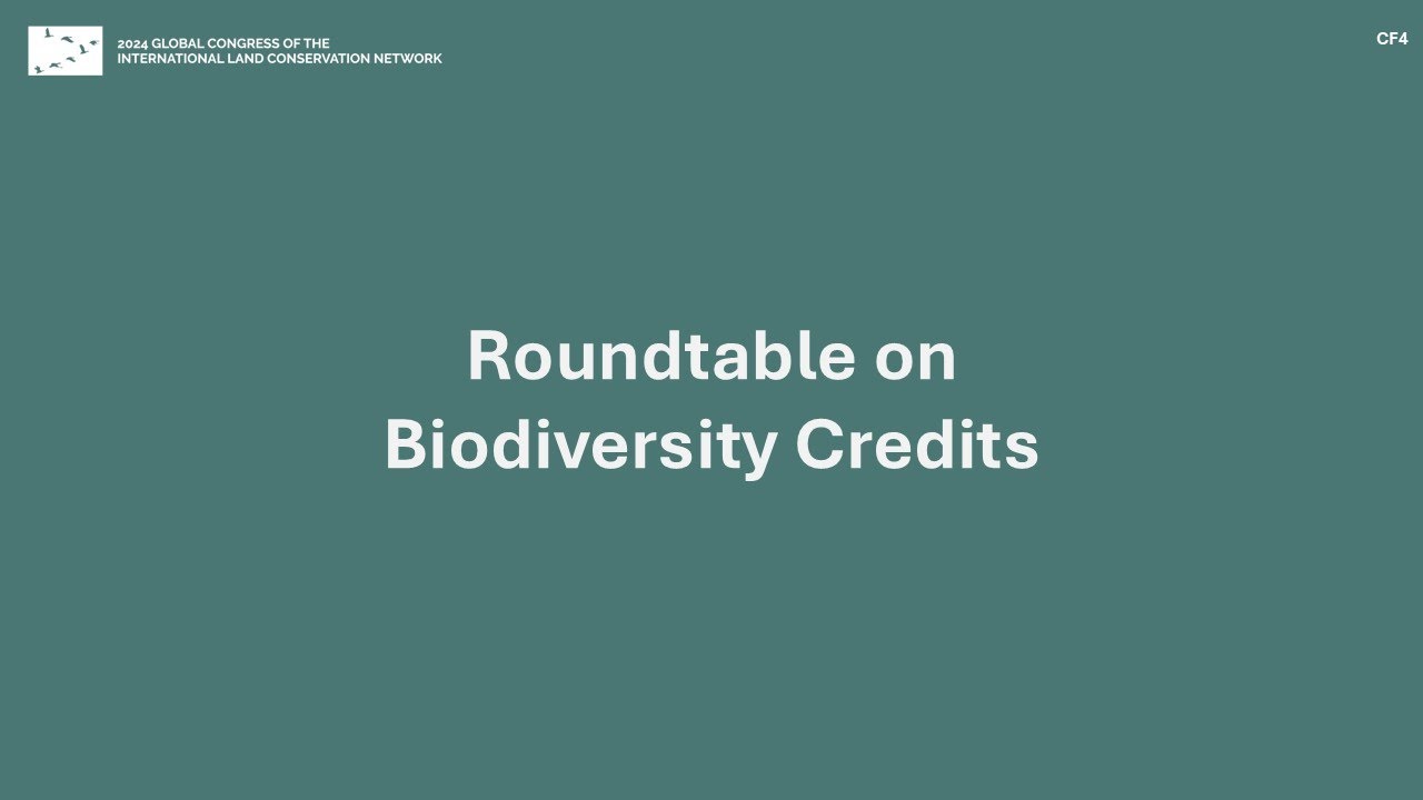 CF4: Roundtable on Biodiversity Credits - YouTube