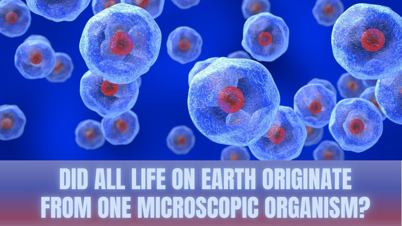 Did all life on Earth originate from one microscopic organism? - YouTube