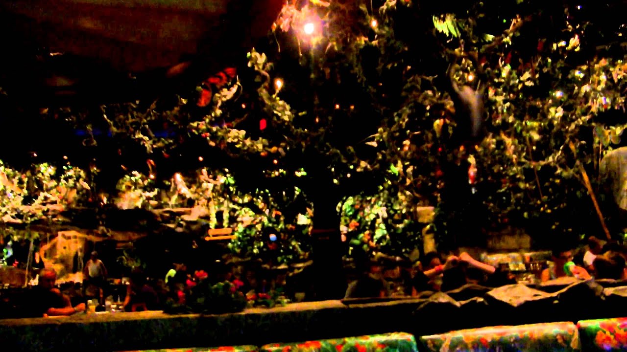 Inside The Rainforest Cafe - YouTube