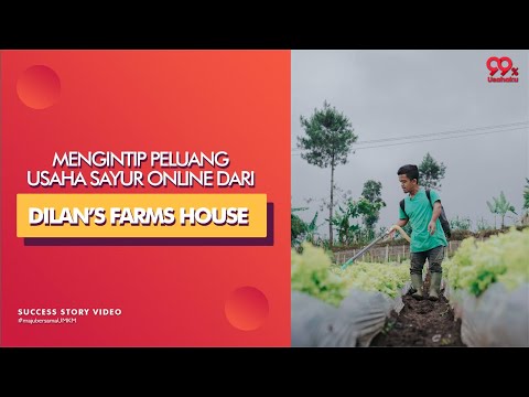 Mengintip Peluang Usaha Sayur || Dilan