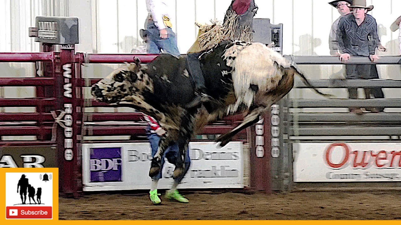 Bull Riding - 2023 ABC Pro Rodeo | Thursday - YouTube