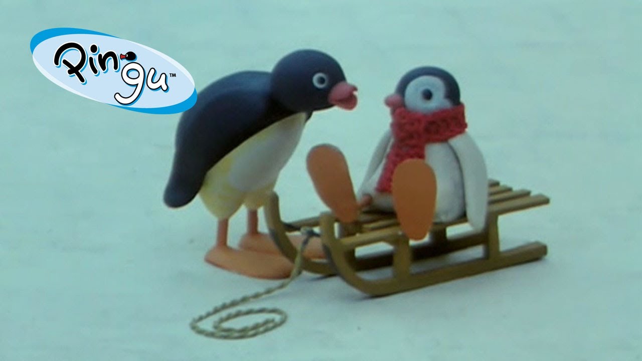 Pingu: Pinga and Pingu - YouTube