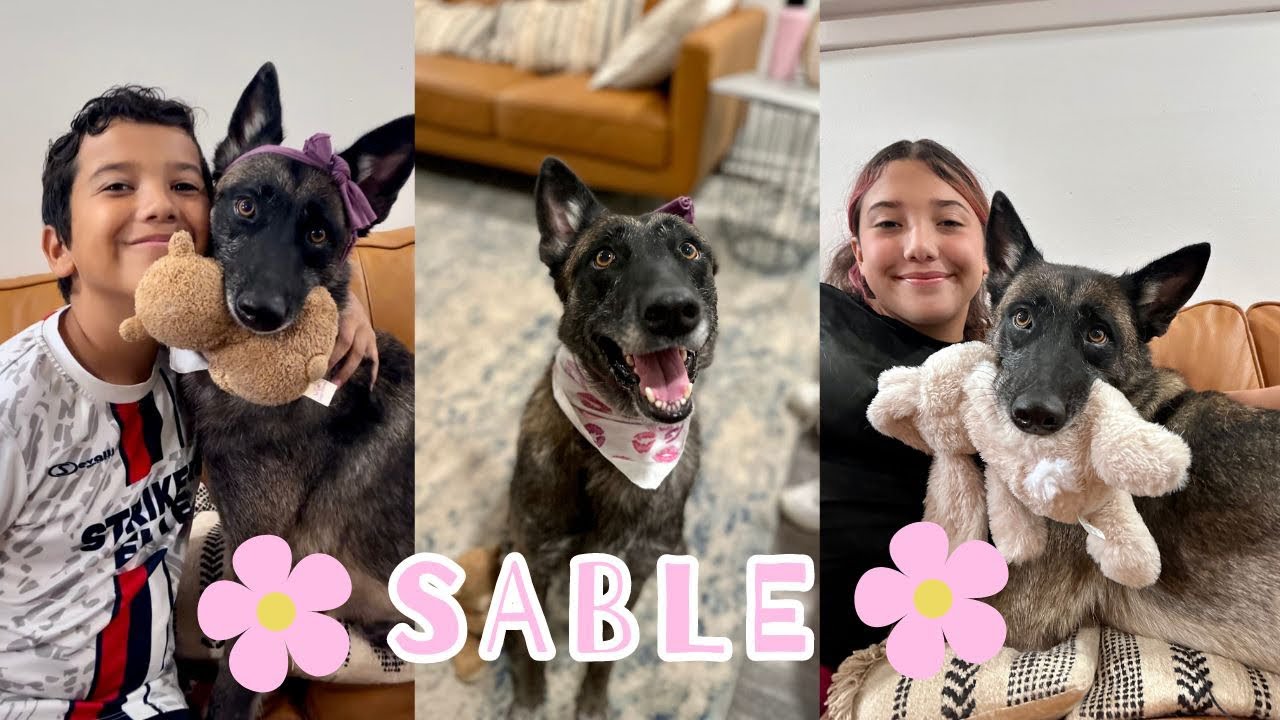 Sable is a confident loving girl looking for endless affection - YouTube