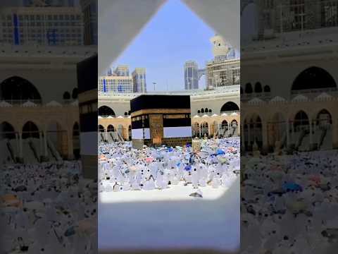 #quran #adduha #quranrecitation #kuranıkerim #egzonibrahimi