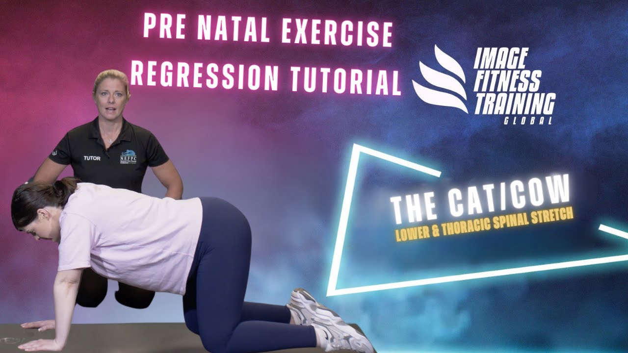 Cat Cow Stretch Tutorial for Lower Back & Core Relief | Prenatal ...