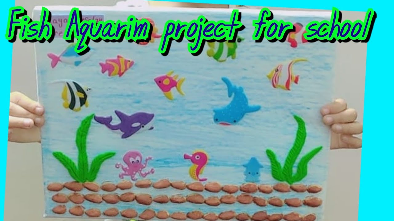 Aquarium for school project || DIY Aquarium making with pista shell ...