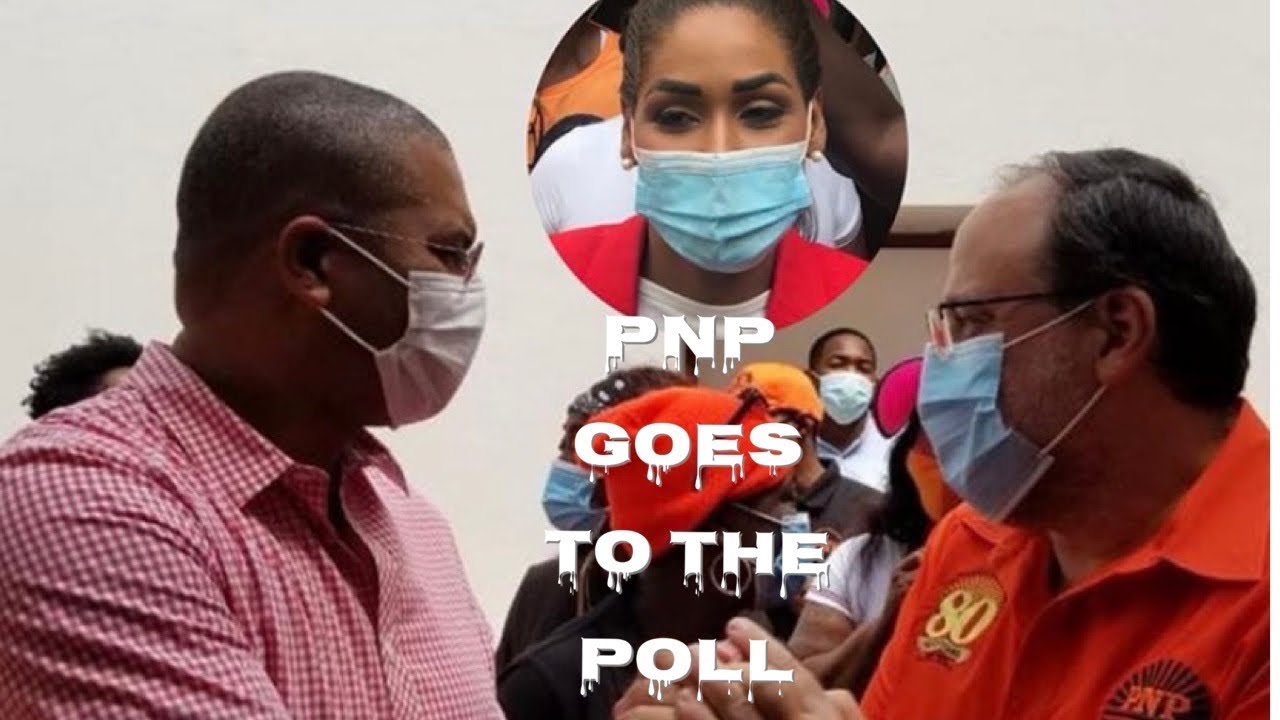 PNP Presidential Elections November 7 2020 - YouTube