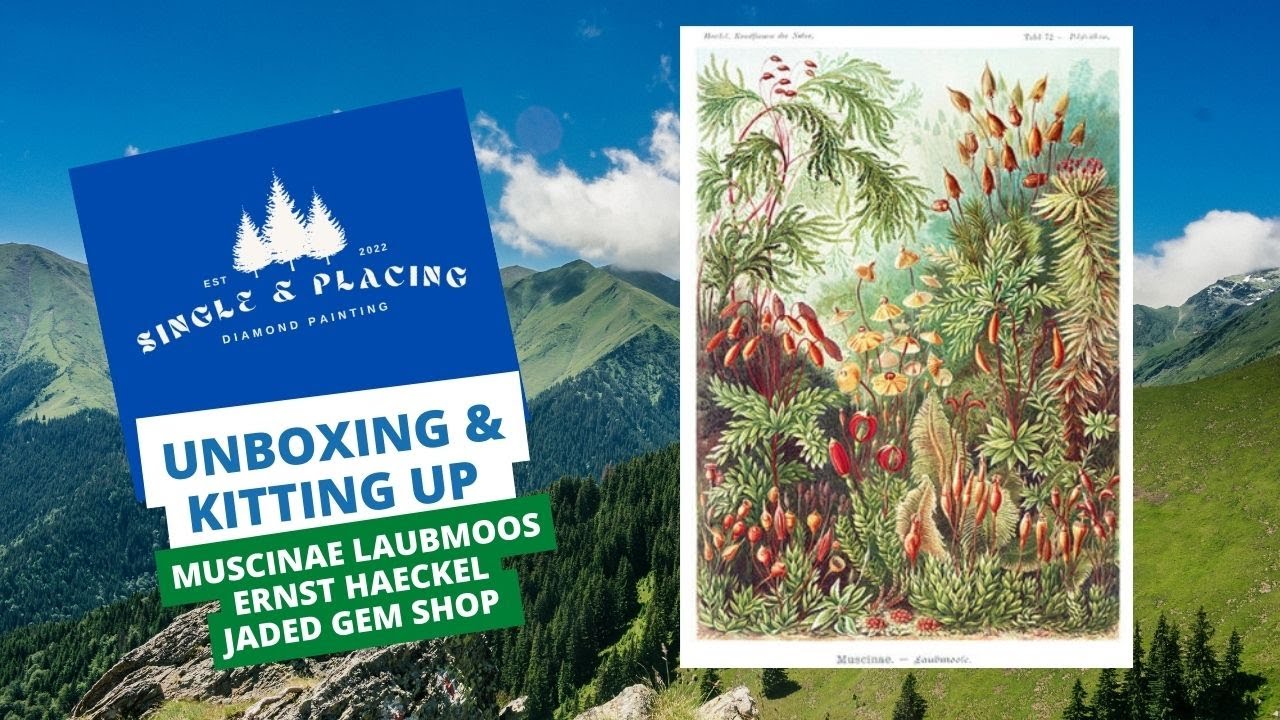 Unboxing & Kitting Up - Muscinae Laubmoos - Ernst Haeckel #unboxing # ...