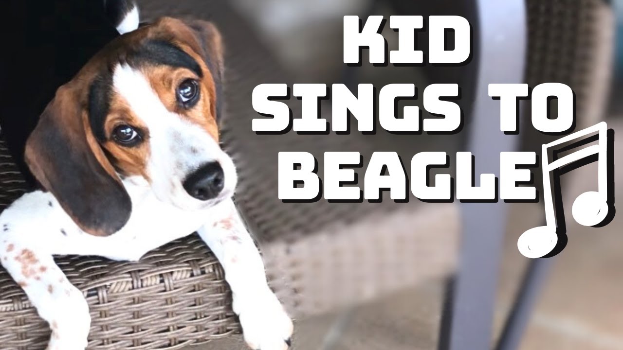 Sweetest Moment Ever: Kid Sings To Beagle Puppy - YouTube