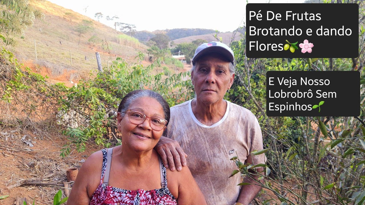 Veja Pé De Frutas Brotando,E Como O Lobrobrô Sem Espinhos Desenvolveu ...