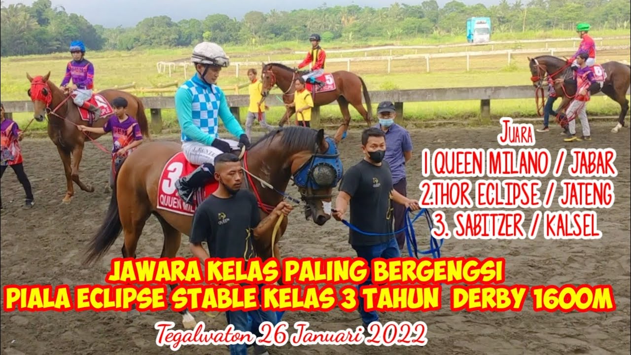 QUEEN MILANO KING HALIM STABLE JAWARA KELAS 3TAHUN DERBY 1600 KELAS ...