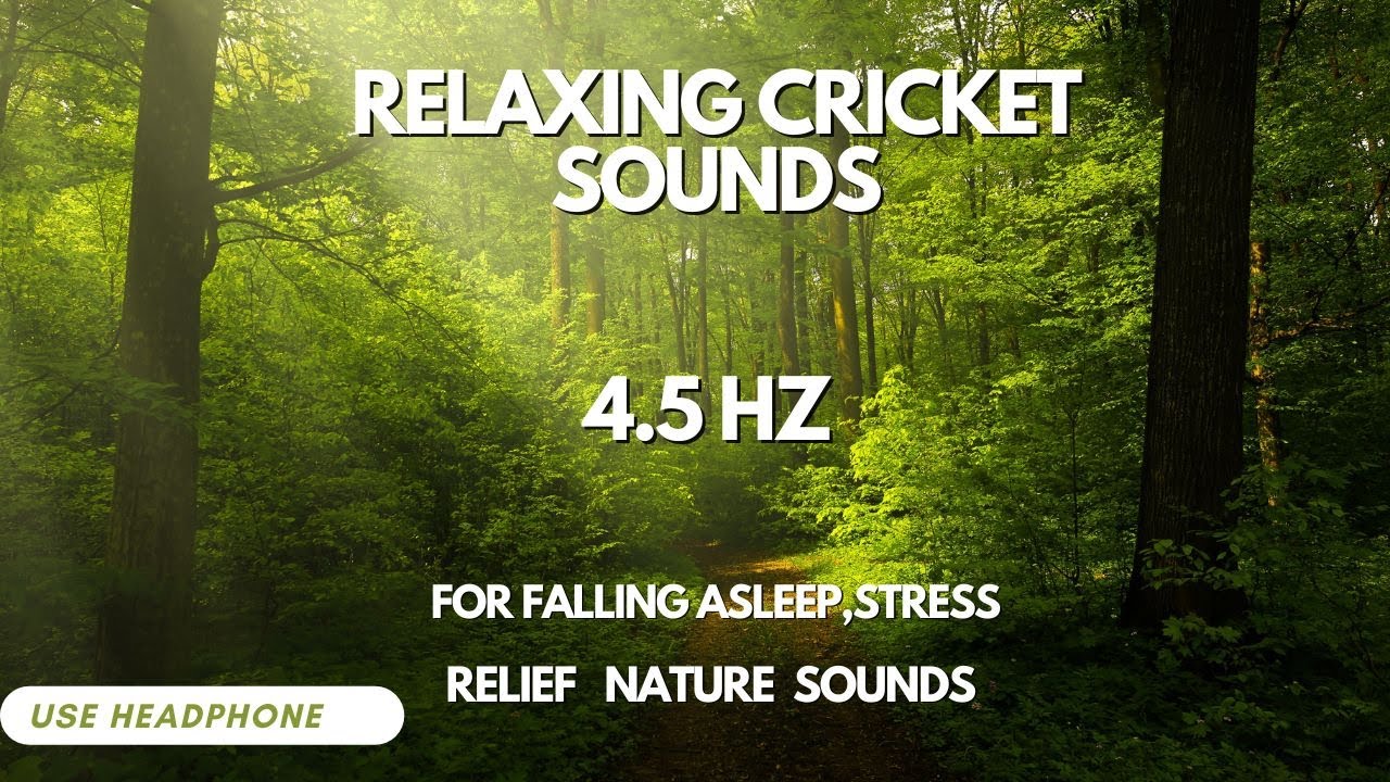 Cricket sound: The Most RELAXING CRICKET SOUNDS For Falling Asleep ...