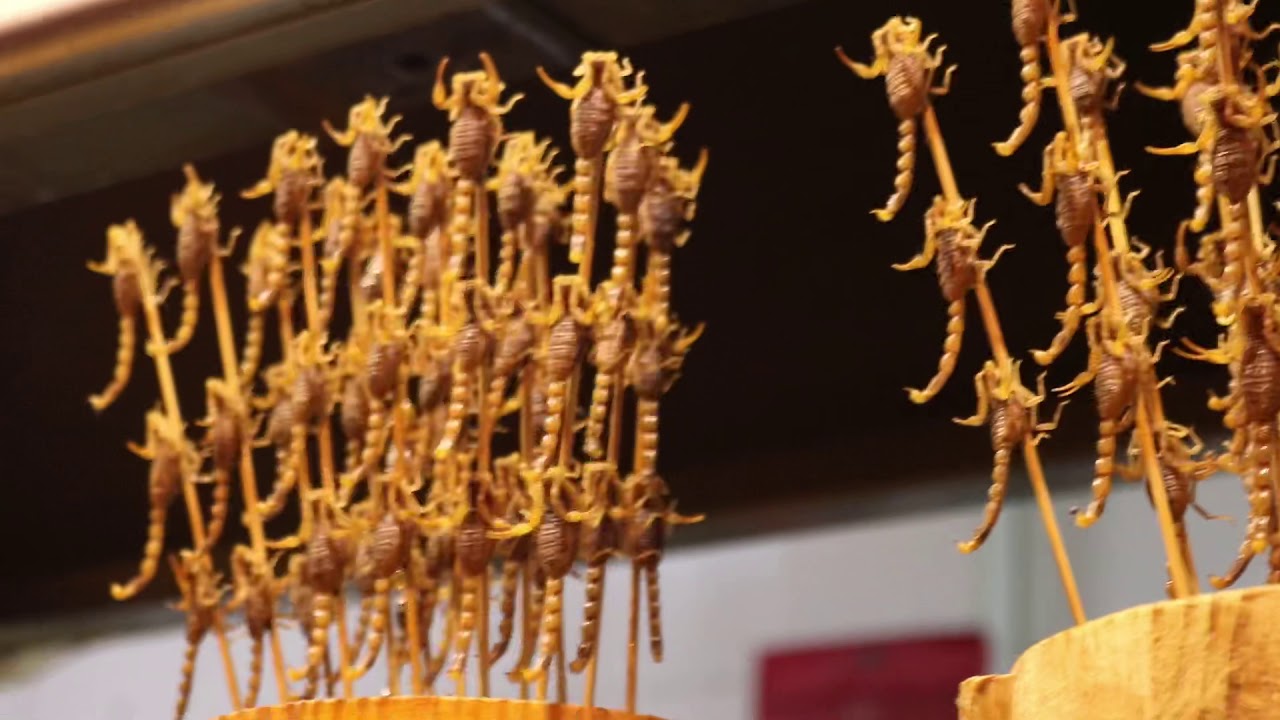 Insect Skewers in China | Beijing | insect skewers - YouTube