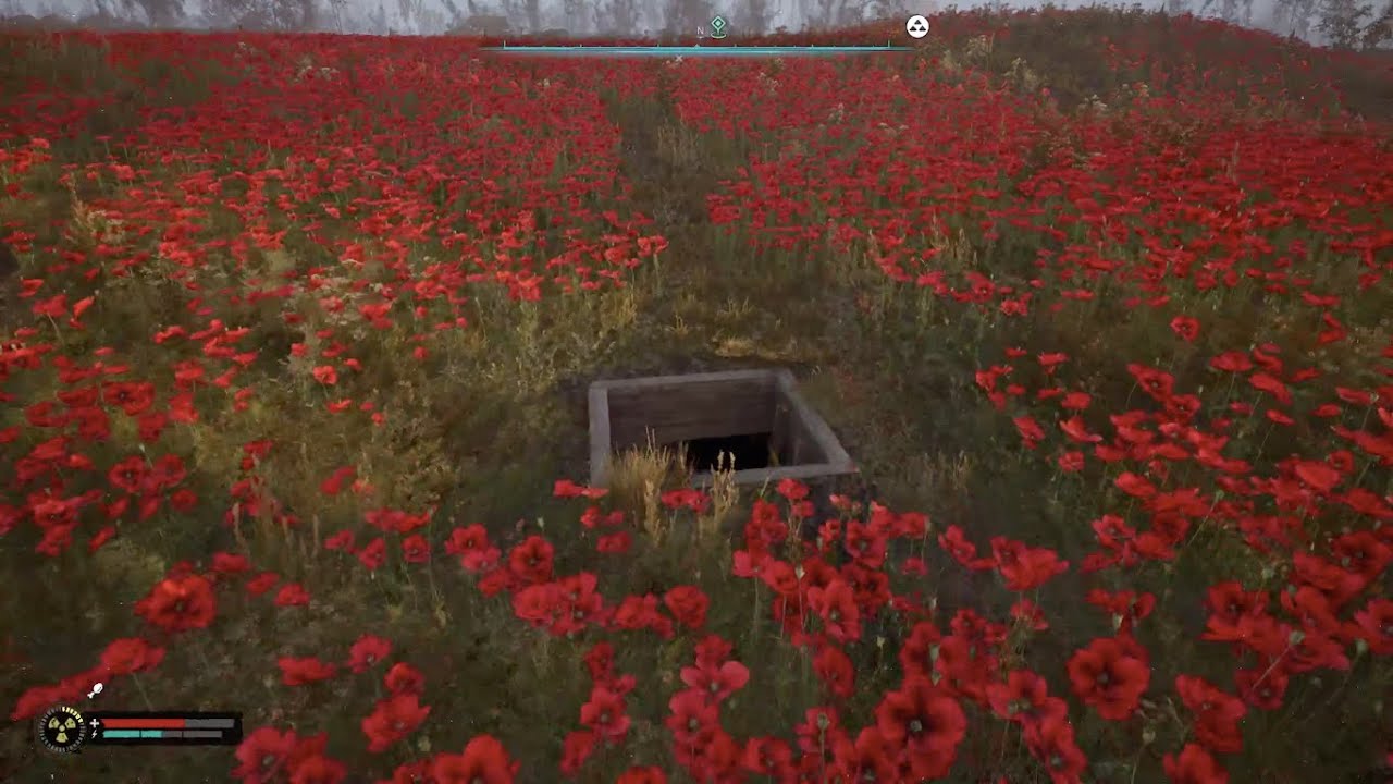 S.T.A.L.K.E.R. 2 Easy Poppy Field Stash Solution - YouTube