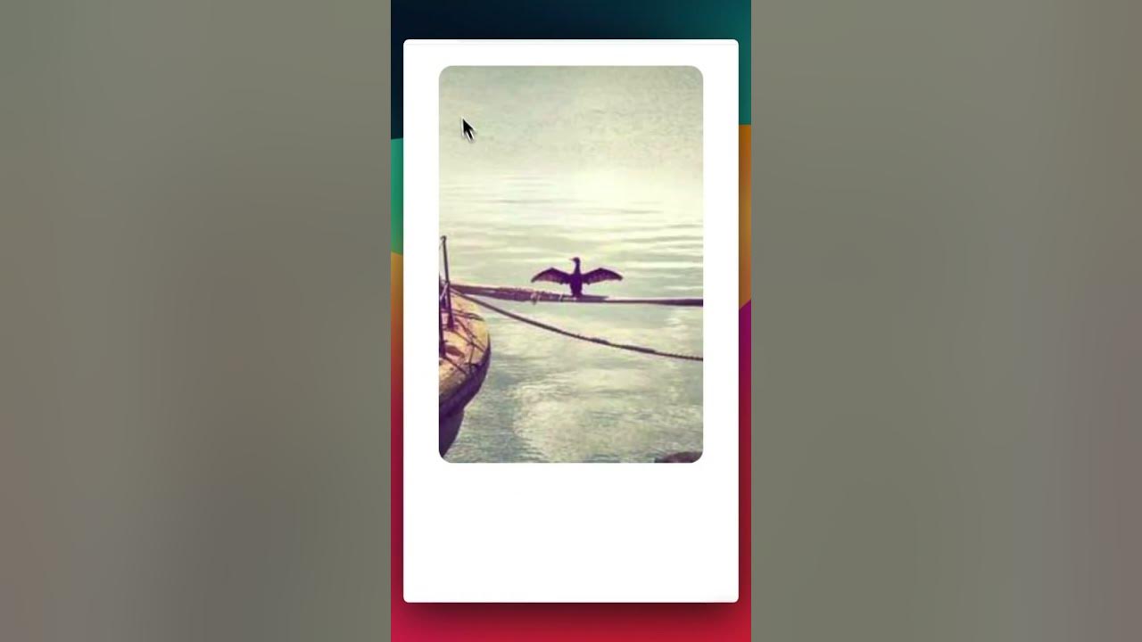 New view transitions API with React router - YouTube