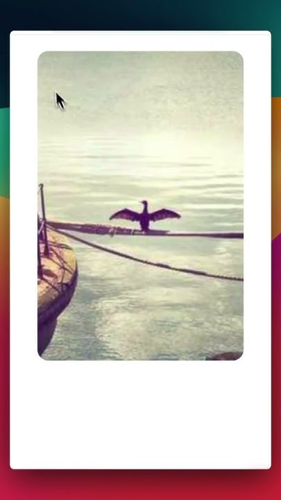 New view transitions API with React router - YouTube