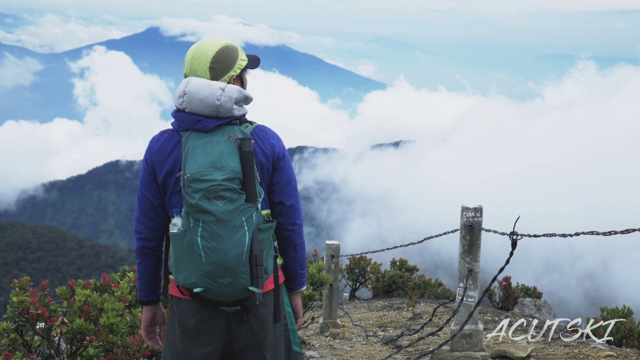 Beautiful Trekking of Gede Pangrango Mountain (Gunung Gede Pangrango ...
