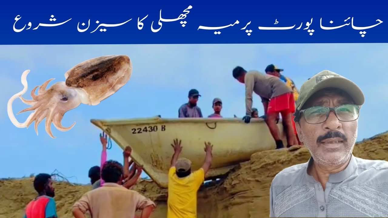 China Port Season Start | Maiya Season | Fishing | 16 September # ...