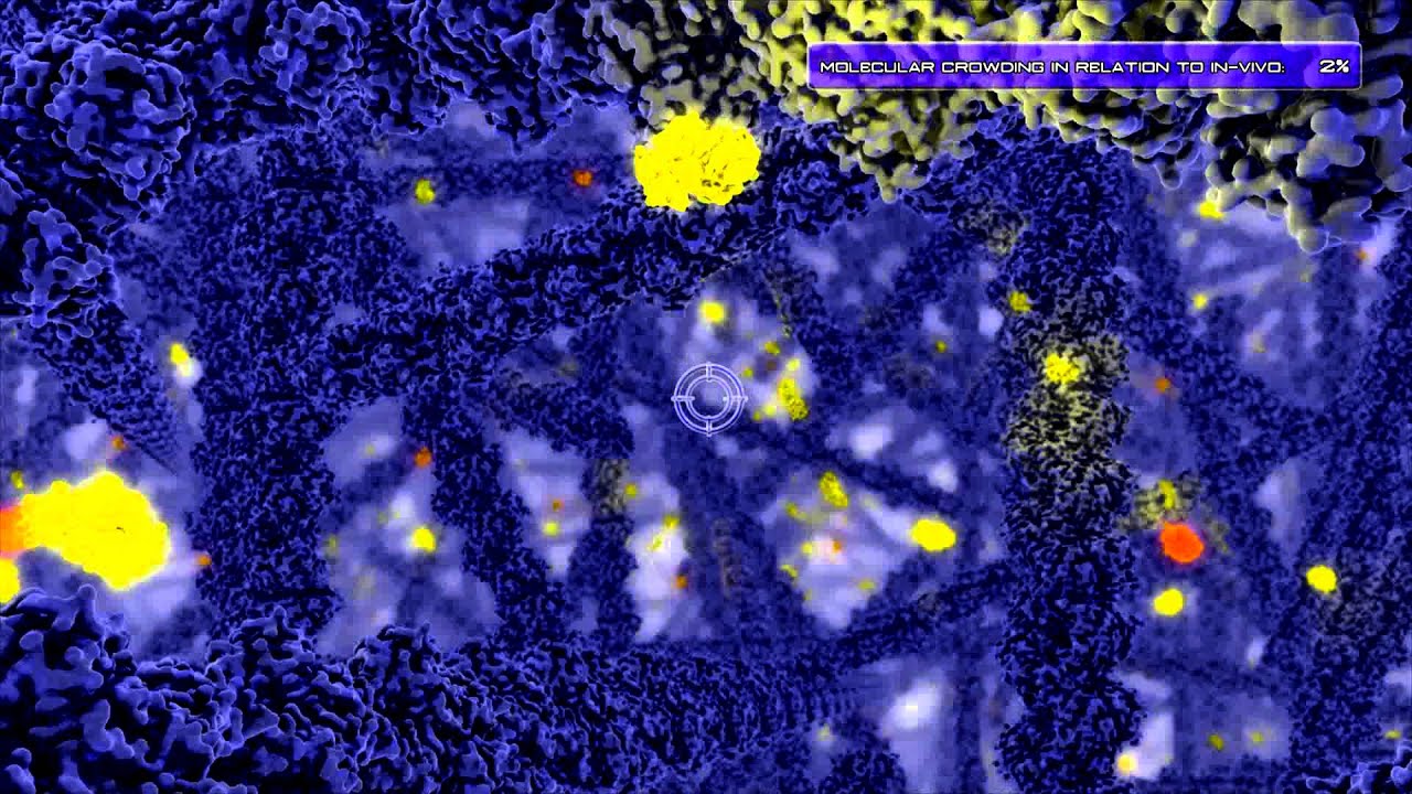 Diffusion and Crowding inside the Cell - ETHZ & ScienceVisuals ...