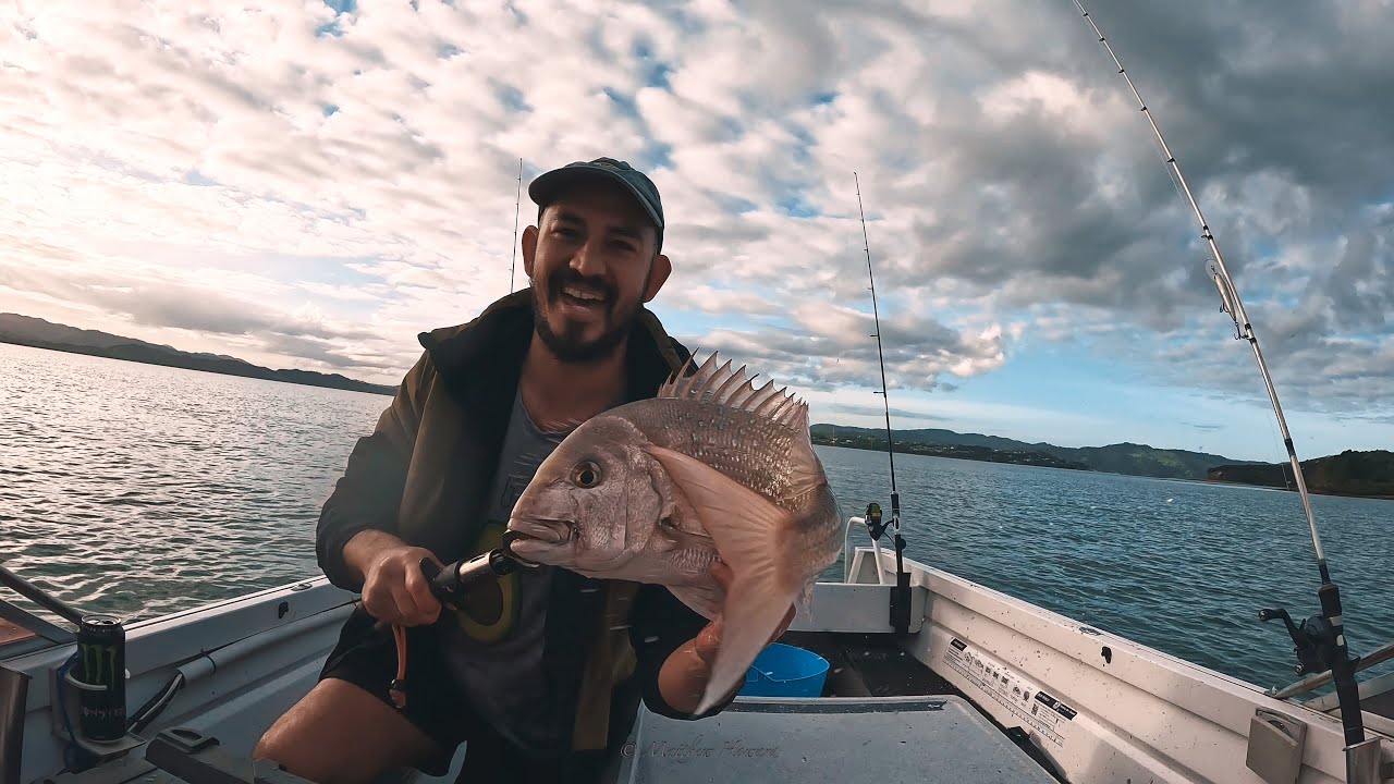 Fishing Whangarei harbour (snapper, mullet, kahawai) - YouTube