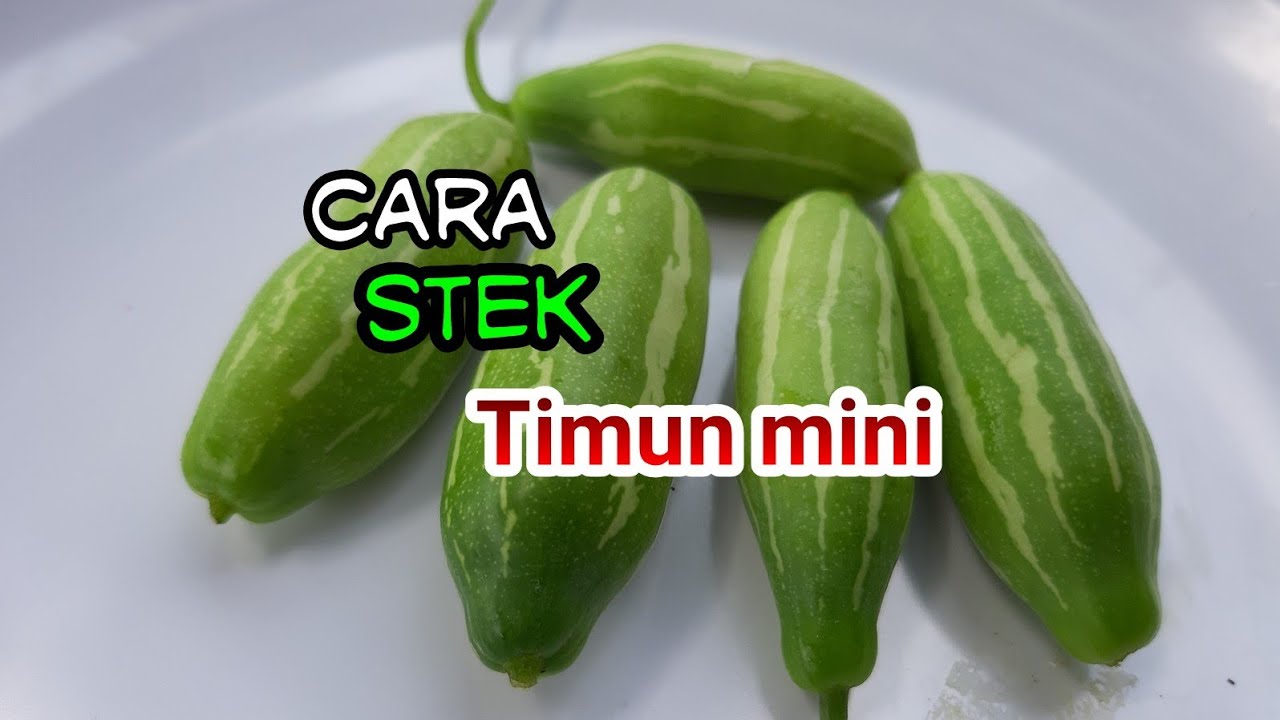 Cara stek timun mini/coccinia - YouTube