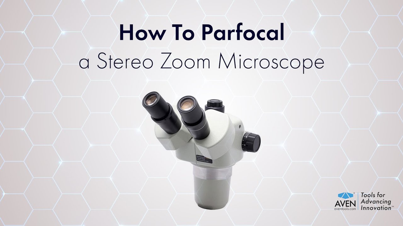 How to parfocal a stereo zoom microscope - binocular and trinocular ...
