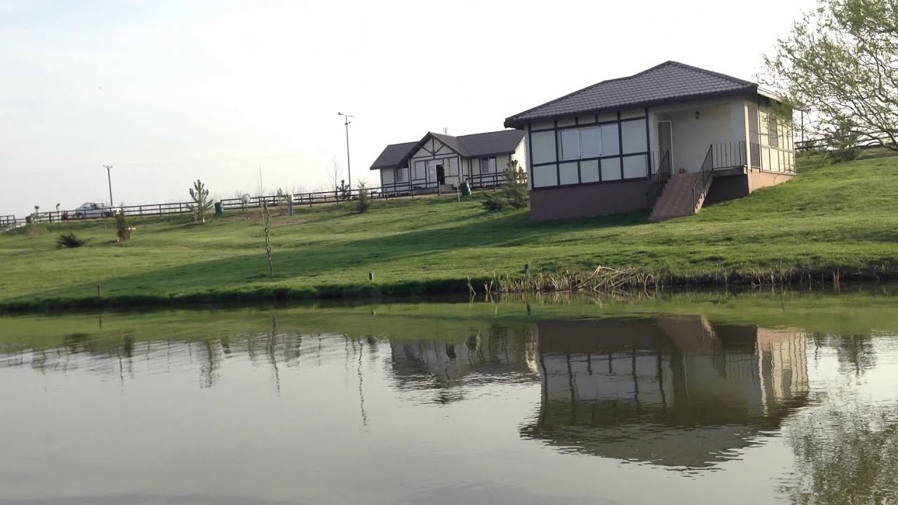 Balta Solacolu - YouTube