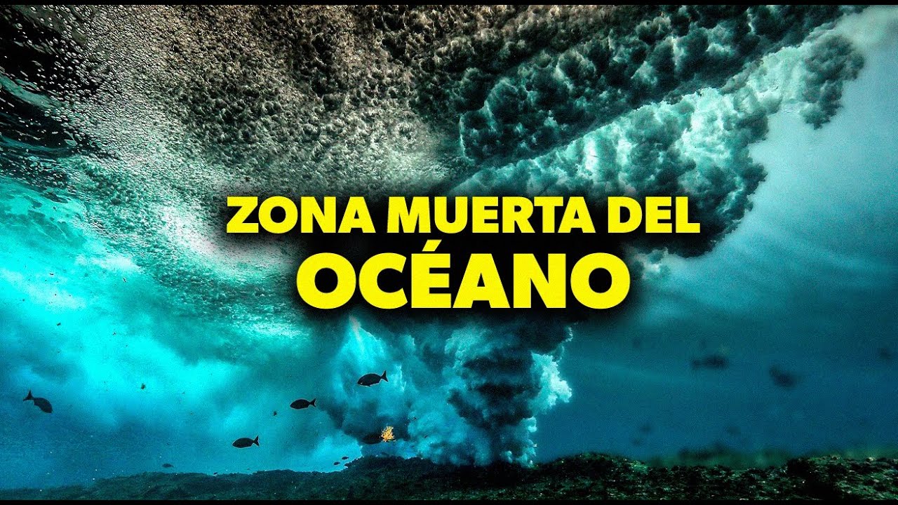 Descubre el punto Nemo, el rincón más remoto y misterioso de la Tierra ...