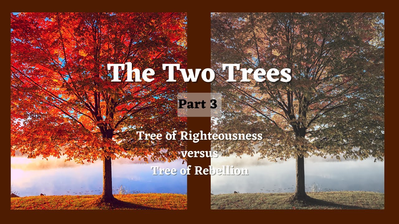 THE TWO TREES PART 3 - Tree of Righteousness Versus Tree of Rebellion ...