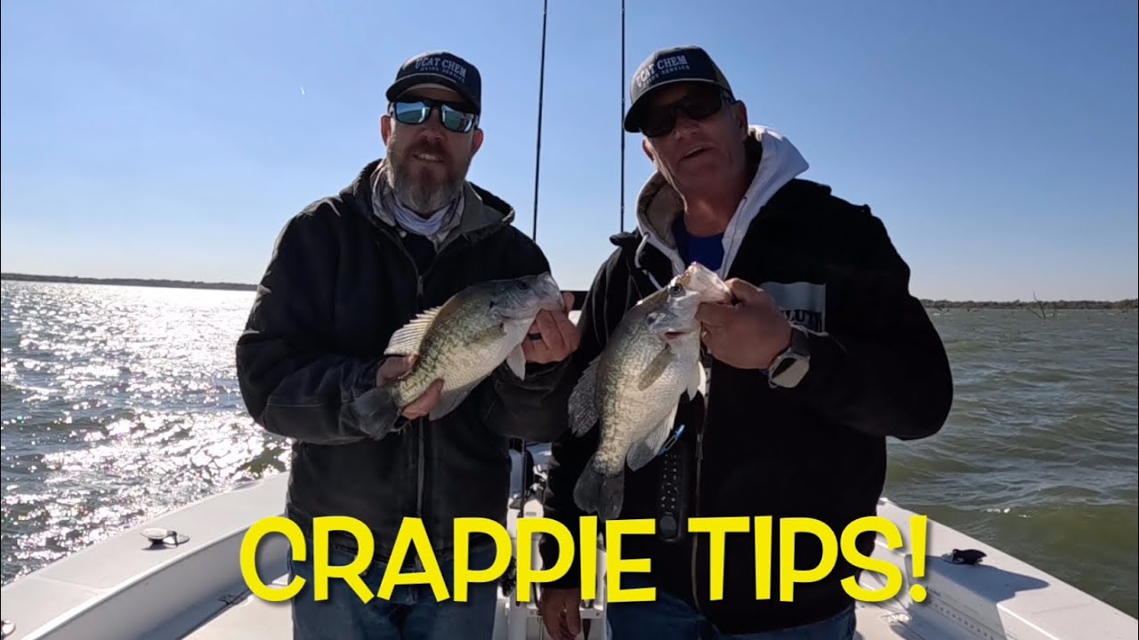 Expert Tip For Crappie Fishing On Trees - YouTube