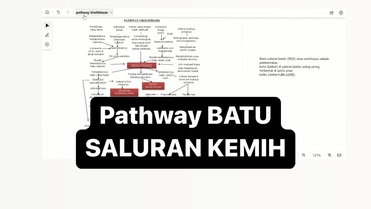 Pathway Urolithiasis | Batu Saluran Kemih | DIAGNOSA KEPERAWATAN eps.12 ...