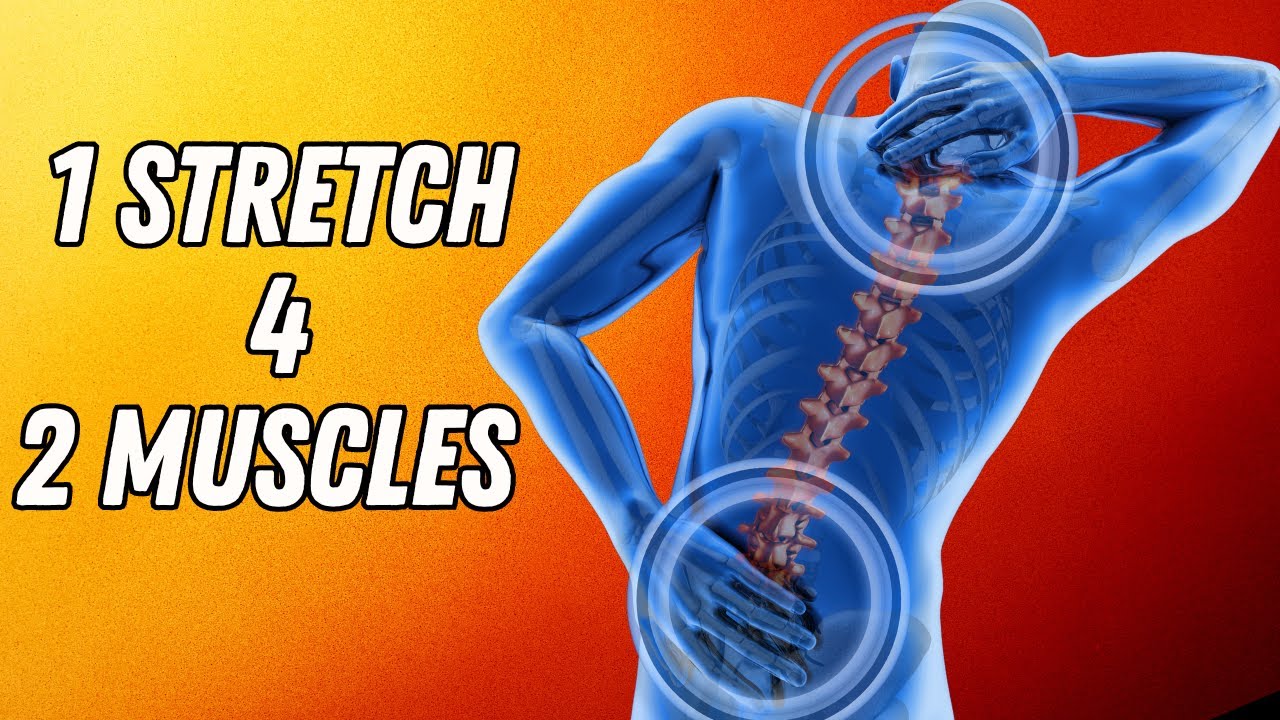 How to Properly Stretch Your Back and Hips | Expert Advice - YouTube