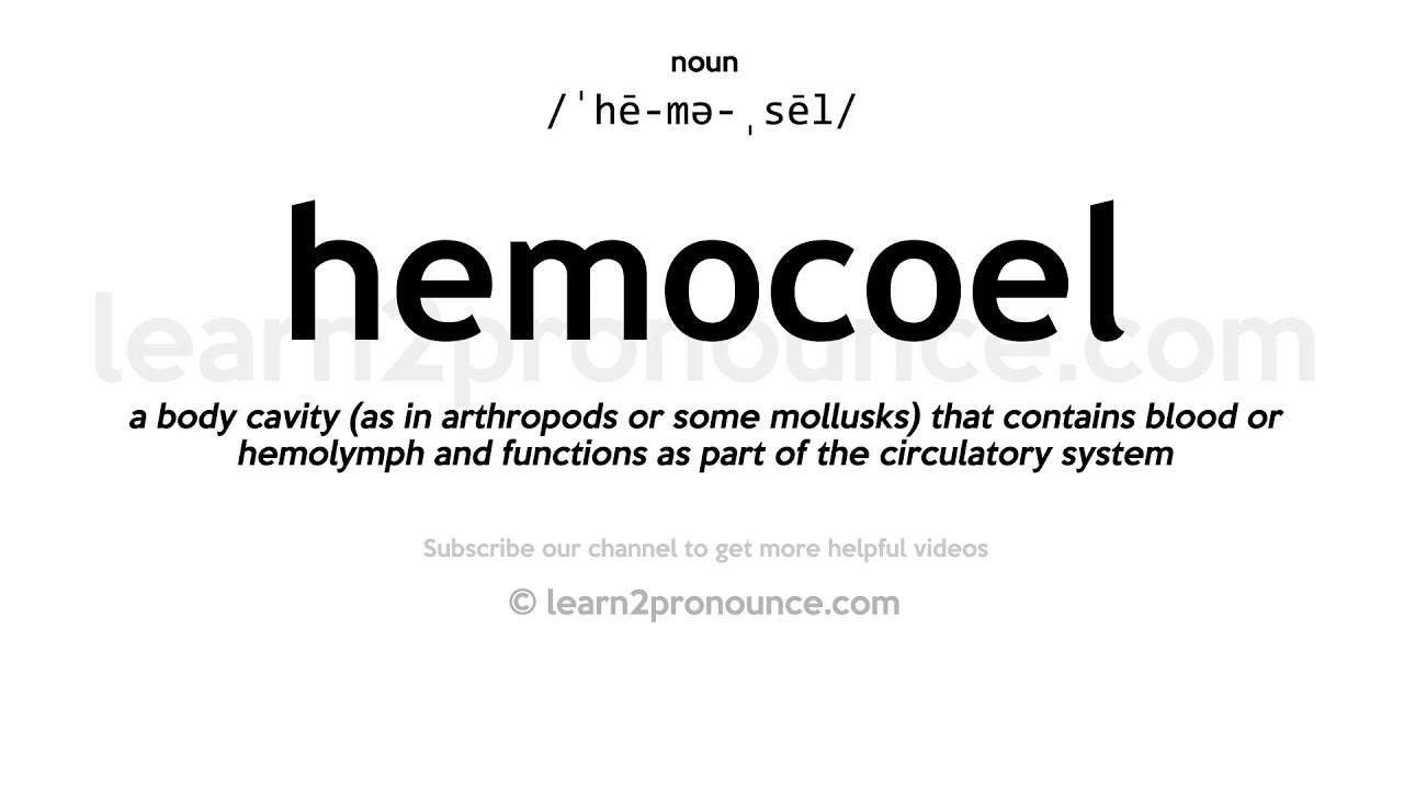 Pronunciation of Hemocoel | Definition of Hemocoel - YouTube