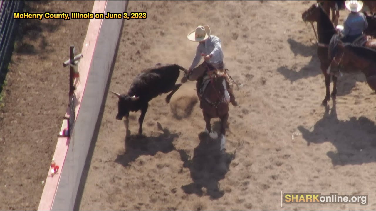 Rodeo Cruelty, Police Misconduct in McHenry County, IL - YouTube