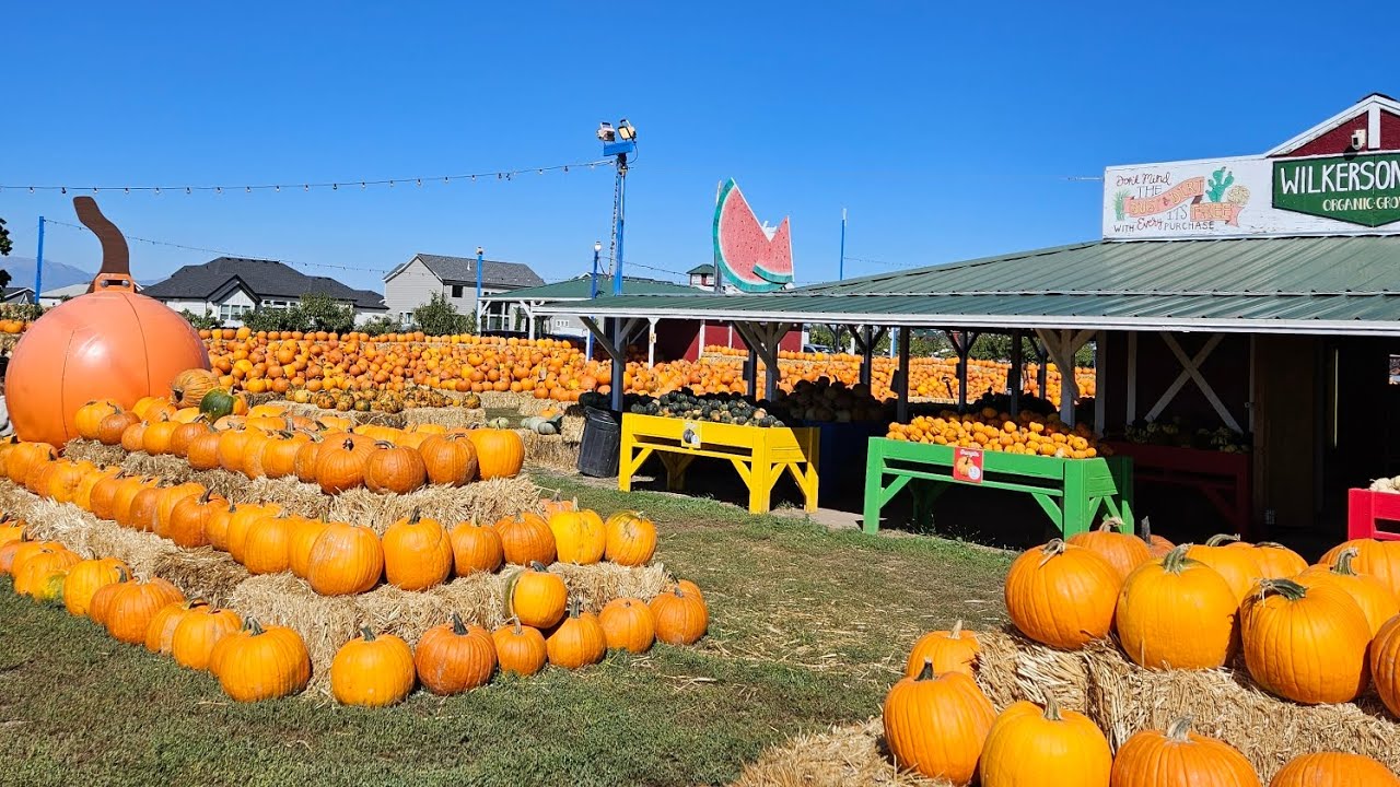 Wilkerson Farm, Fall Fair. Pumpkin Patch #utah#fallfair#orem - YouTube