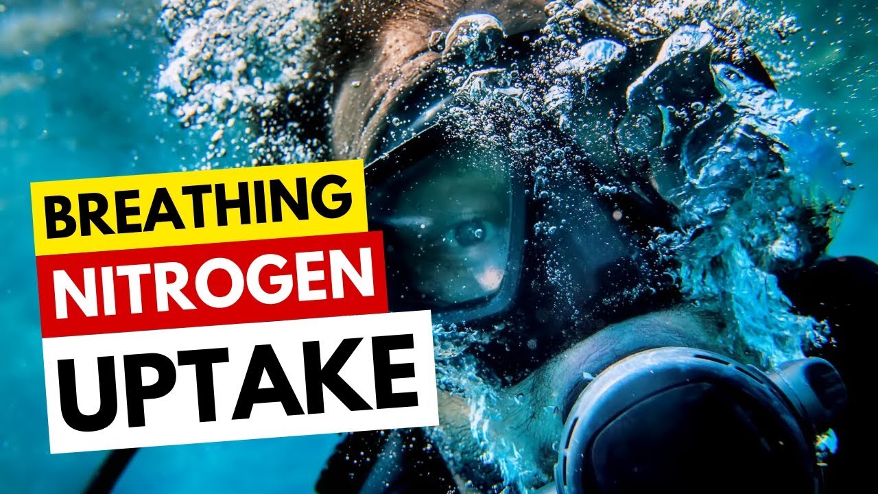 Breathing Nitrogen Uptake - YouTube